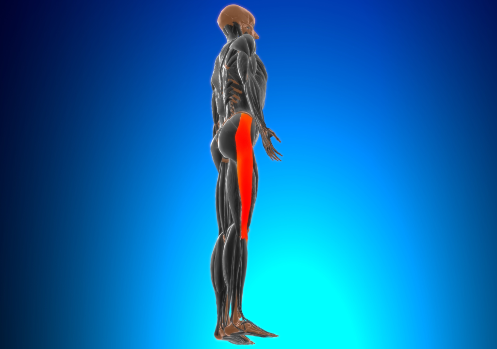 Iliotibial Band Syndrome (IT Band Syndrome) | AOS